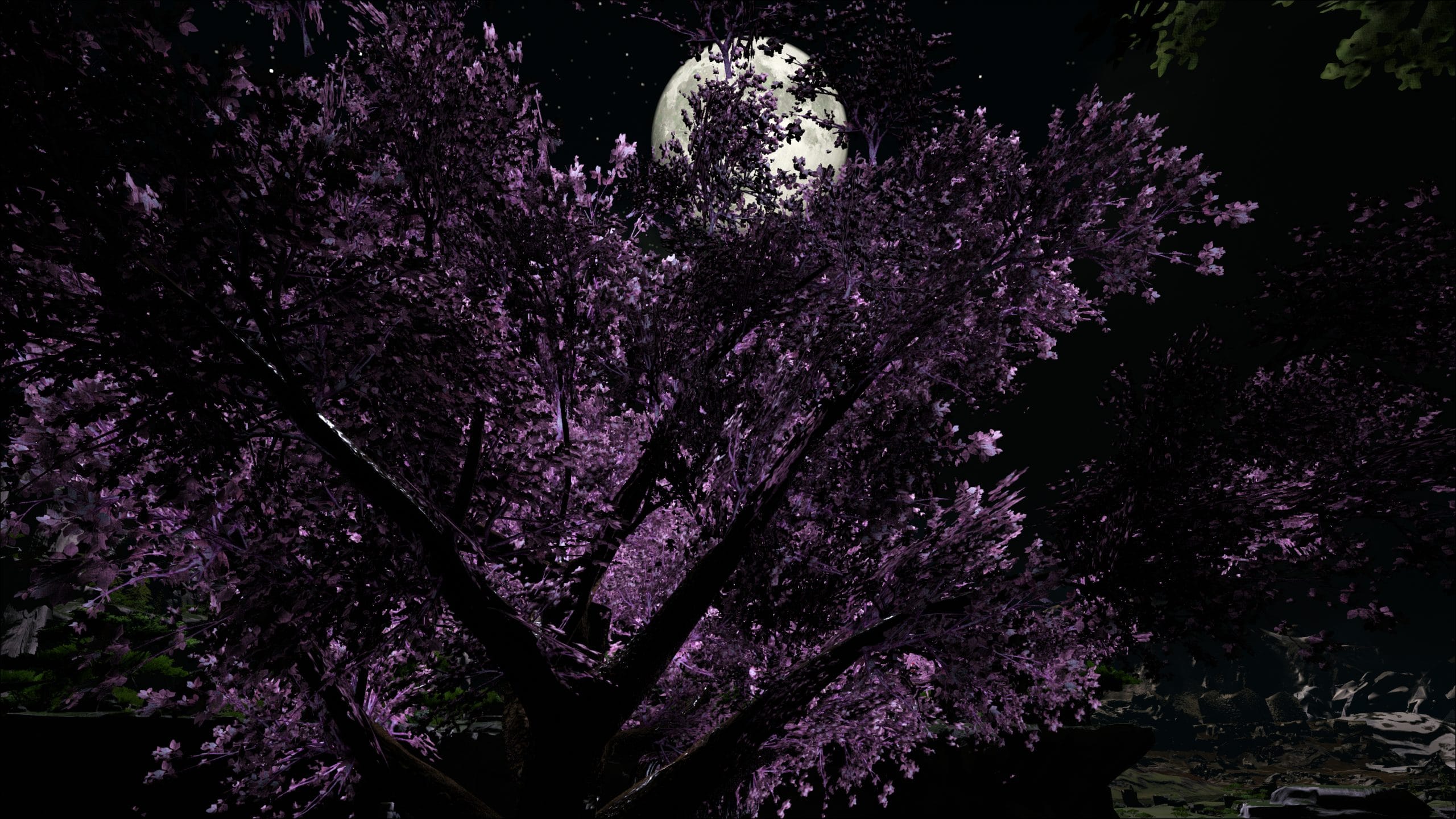 ARK Screenshots - WickedNinjaGames