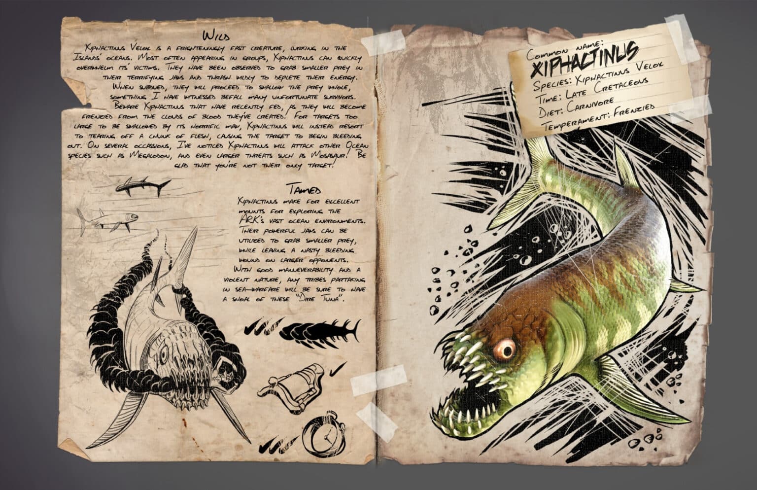 ASA DLC Release Schedule - Updated 19/12/2025 - WickedNinjaGames